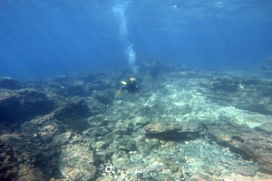 Diving in Limassol, Paphos & Cyprus | 5* PADI Dive Centre